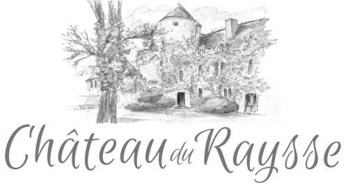 Château du Raysse - Château du Raysse
